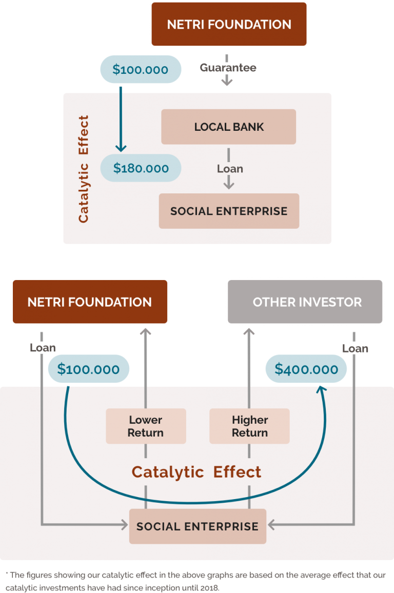 Model - Netri Foundation