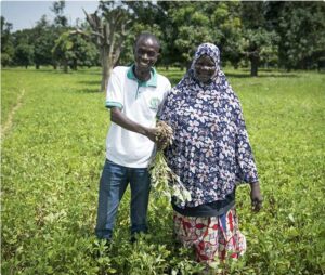 Grants - Netri Foundation