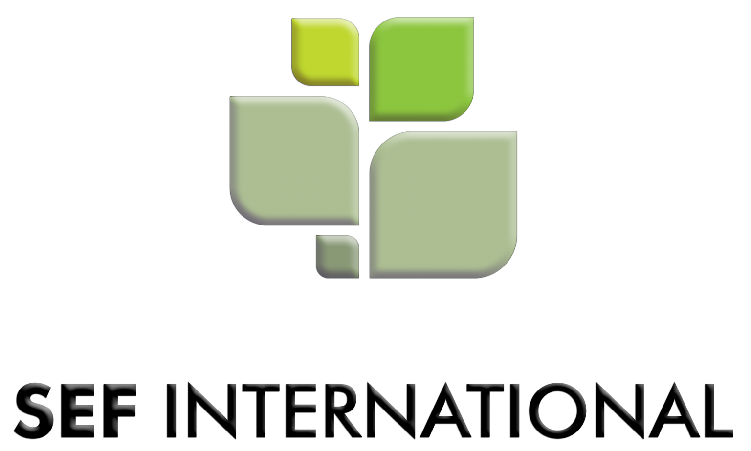 SEF International Universal Credit Organisation LLC - Fundación Netri